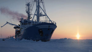 GIF expedition - animated GIF on GIFER