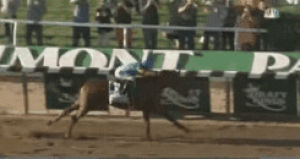 Kentucky derby horse racing GIF on GIFER - by Te