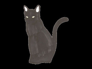 Cute cat transparent GIF on GIFER - by Gralanim