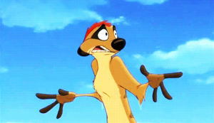 Timon GIF - Find on GIFER