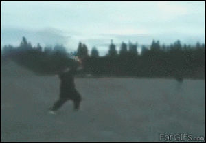 GIF fireworks firework fails - animated GIF on GIFER