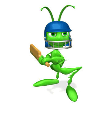 Cricket GIF - Find on GIFER