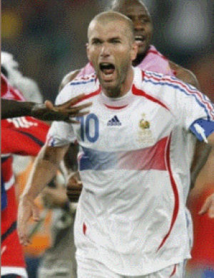 GIF zinedine zidane - animated GIF on GIFER