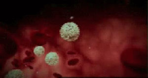 Blood GIF - Find on GIFER