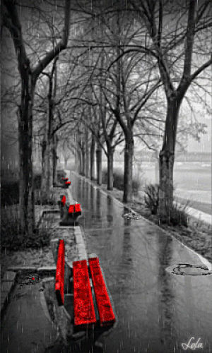 Rainy day, GIF - Find & Download on GIFER