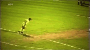 Calcio GIF - Find on GIFER
