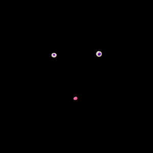 Amazed its beautiful GIF - Find on GIFER