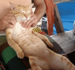 Pikachu relax massage GIF on GIFER - by Dujin