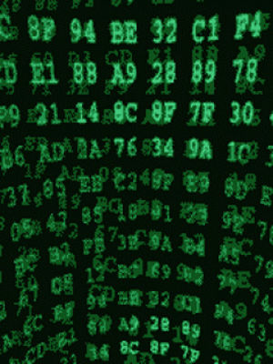 Matrix GIF on GIFER - by Faell