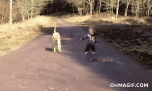 GIF walk cycle dog 2d animation - animated GIF on GIFER