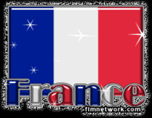 GIF france - animated GIF on GIFER