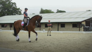 Equestrian horse horses GIF - Find on GIFER