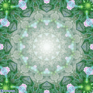 GIF dmt - animated GIF on GIFER