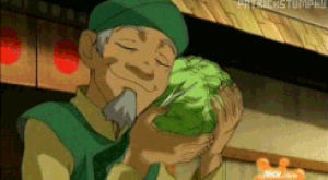 Avatar the last airbender GIF - Find on GIFER
