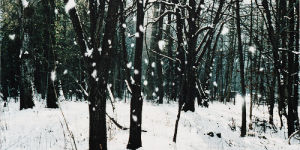 GIF christmas snow winter - animated GIF on GIFER