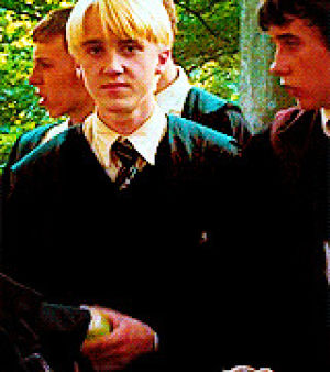 GIF draco malfoy - animated GIF on GIFER