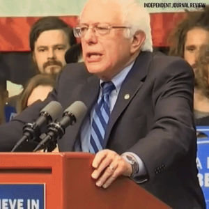 GIF feel the bern - animated GIF on GIFER
