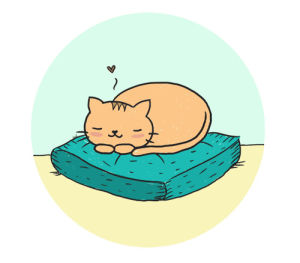 GIF sleepy kitty jet lag cat - animated GIF on GIFER - by Tetaxe