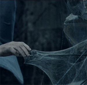 GIF the lord of the rings lotr pippin - animated GIF on GIFER