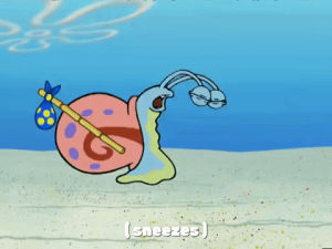 Snail GIF - Find on GIFER