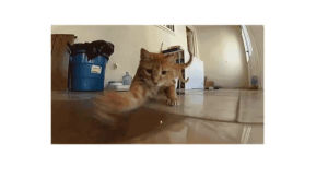 Chasing GIF - Find on GIFER