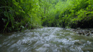 Cinemagraph perfect loop water GIF on GIFER - by Snowdragon