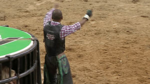 Pbr bull riding GIF - Find on GIFER