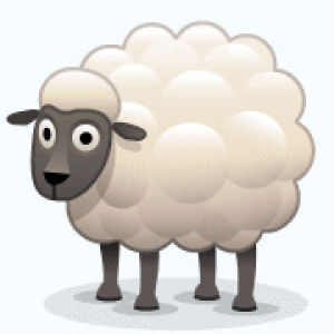 Sheep GIF - Find on GIFER