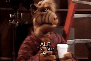 Alf metv network GIF - Find on GIFER
