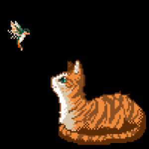 Cat jump GIF - Find on GIFER