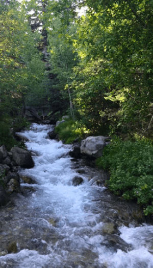 River cinemagraph GIF - Find on GIFER