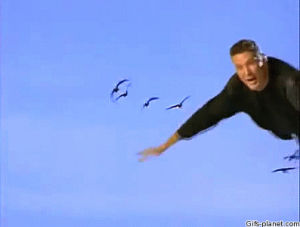 Birds bird fly GIF on GIFER - by Doomterror
