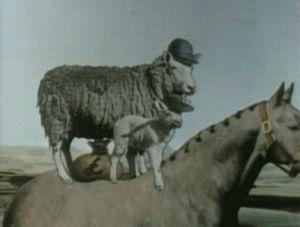 Monty python flying circus GIF - Find on GIFER