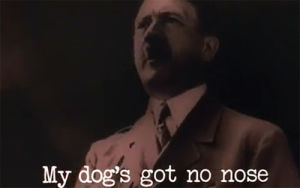 Funny comedy silly GIF on GIFER - by Musar