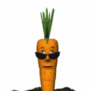 GIF carrot carotte - animated GIF on GIFER