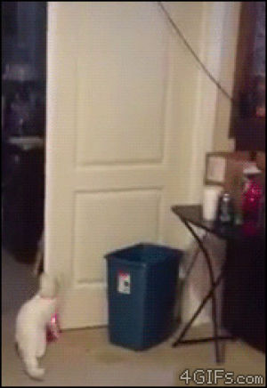 Computer trash can GIF - Find on GIFER