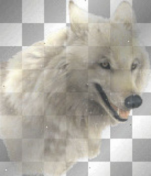 GIF transparent amazon - animated GIF on GIFER