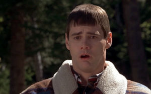 Dumb and dumber GIF - Find on GIFER