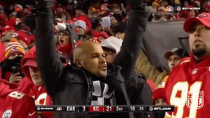 Nfl tnf cinvsmia GIF on GIFER - by Daizuru