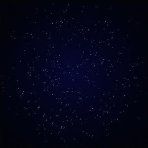 Transparent stars GIF on GIFER - by Dir