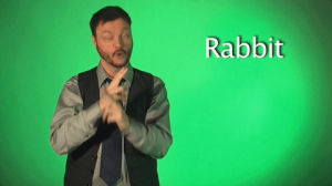 GIF sign with robert sign language stop - animated GIF on GIFER