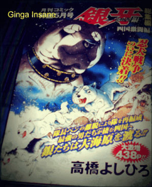 Ginga nagareboshi gin GIF - Find on GIFER