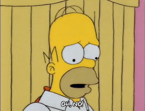 GIF homer simpson season 5 episode 15 - animated GIF on GIFER