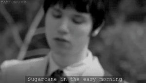 Ryan ross GIF - Find on GIFER