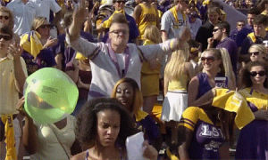 GIF lsu tigers - animated GIF on GIFER