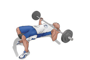 Bench GIF - Find on GIFER