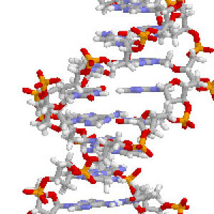 Dna GIF - Find on GIFER