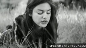 GIF so pretty - animated GIF on GIFER