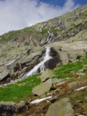 GIF alpine skiing - animated GIF on GIFER