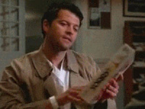 Rotflmao GIF - Find on GIFER